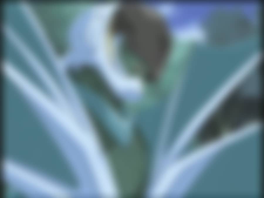Yu-Gi-Oh! Season 1 (Subtitled) Deck Master Deepsea Warrior - Ver en ...