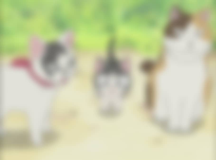Chi's Sweet Home - Chi's New Address Season 2 Chi, Makes Her Debut ...