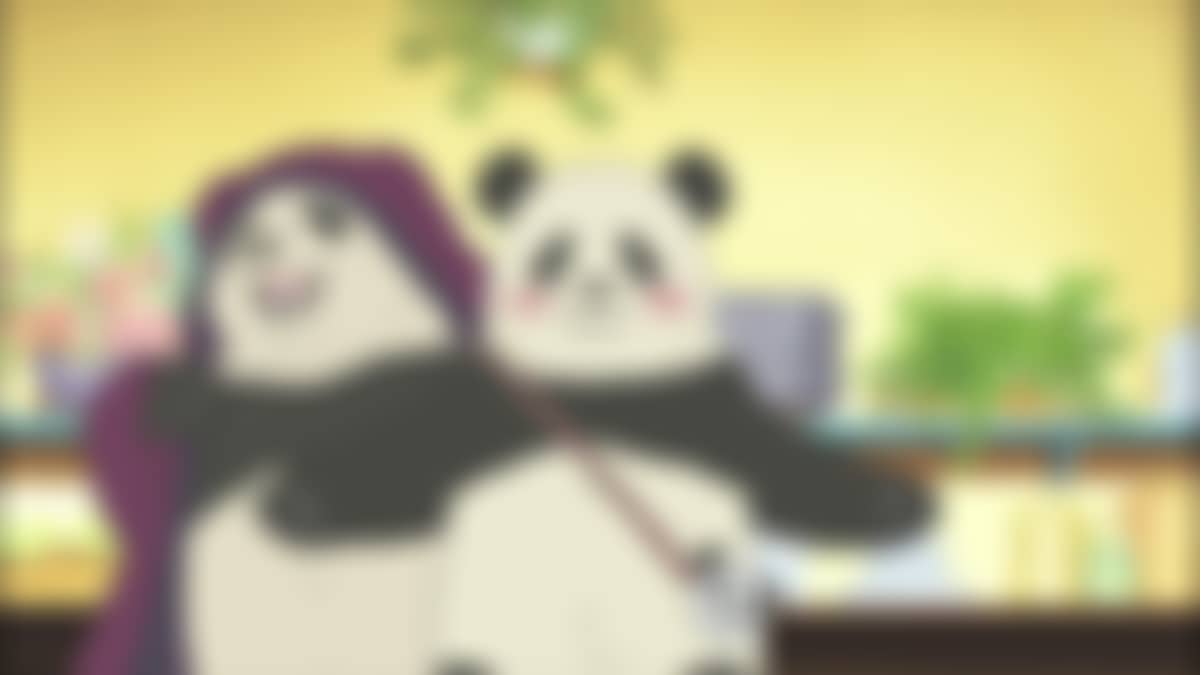 Polar Bear Cafe The Animals' Hidden Talent Competition! / New Year's ...