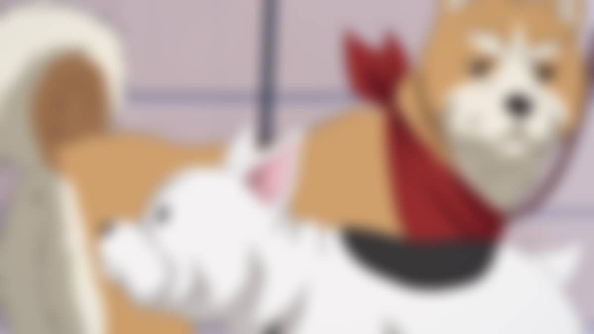 Oda Cinnamon Nobunaga Un hombre del pasado. ¡¿Soy Oda Cinnamon Nobunaga ...