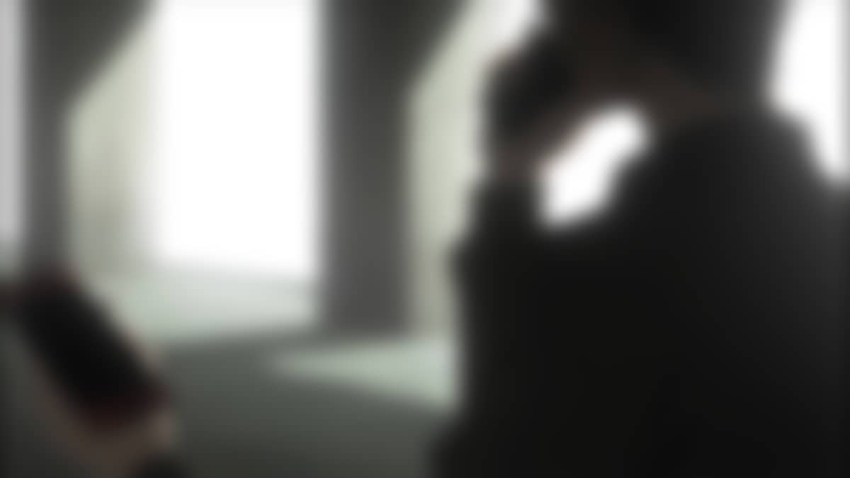 Steins;Gate 0 Rinascimento of Image Formation -Return of Phoenix- - Ver ...