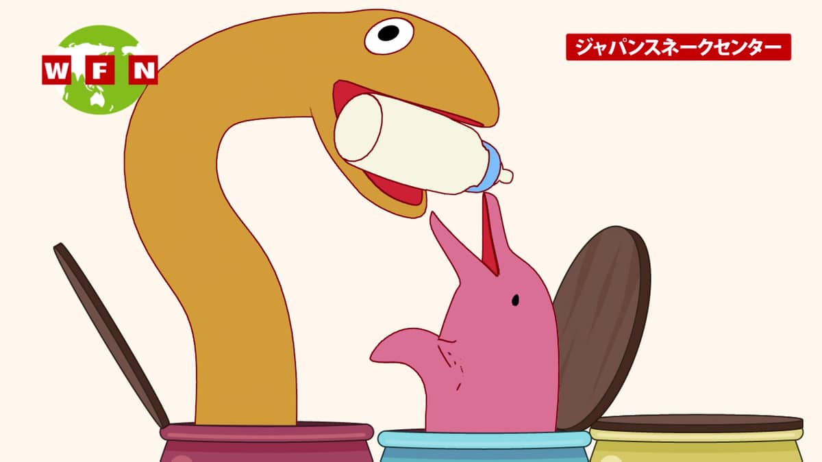 World Fool News A Shadow Approaches!? - Ver en Crunchyroll en español