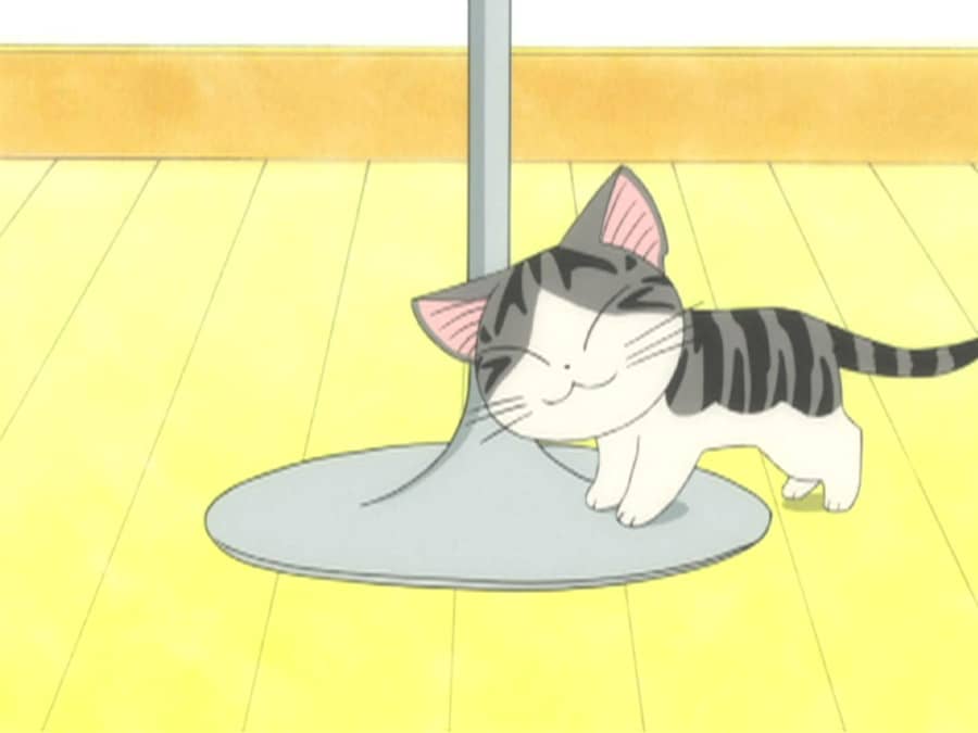 Chi's Sweet Home - Chi's New Address Season 1 Chi, Goes Exploring ...