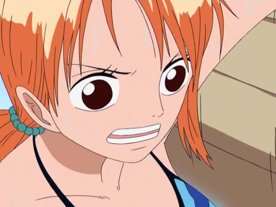 One Piece: Sky Island (136-206) (English Dub) Zero Percent Survival ...