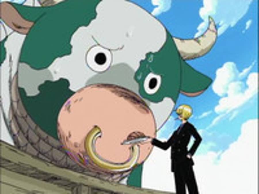 One Piece ¡La bruja de la aldea Cocoyashi! La oficial de alto rango de ...