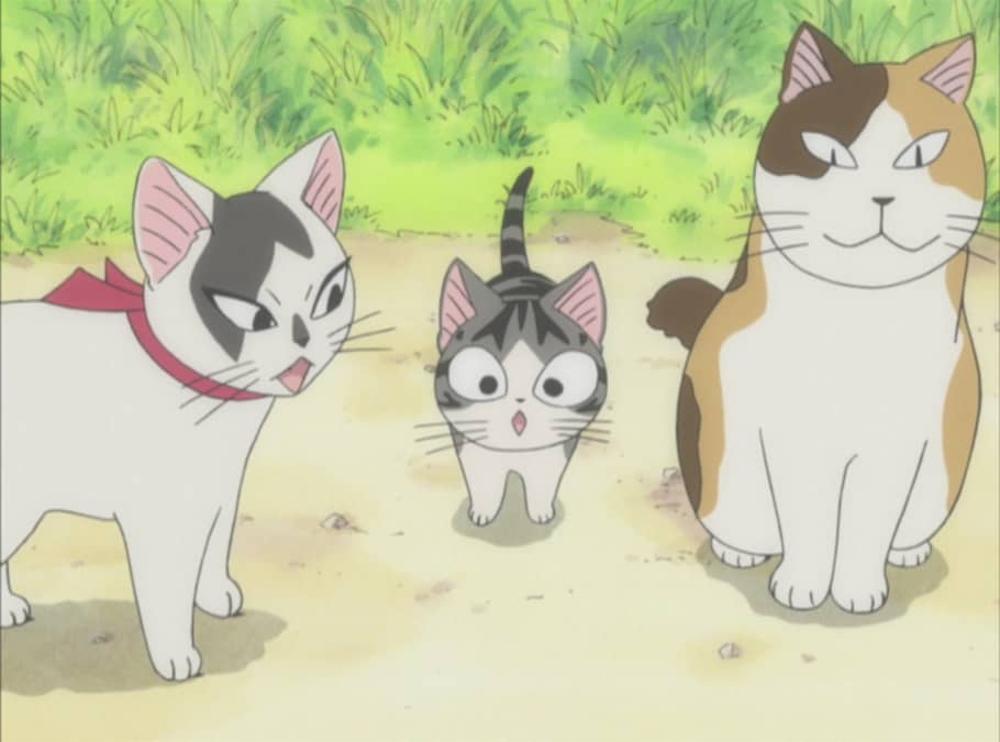 Chi's Sweet Home - Chi's New Address Season 2 Chi, Makes Her Debut. - Watch on Crunchyroll