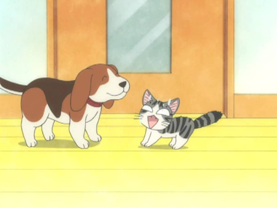 Chi's Sweet Home - Chi's New Address Season 1 Chi, Challenged! - Watch ...