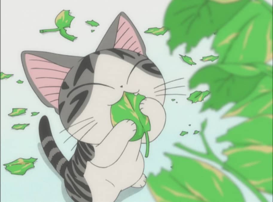 Chi's Sweet Home - Chi's New Address Season 1 Chi, Is Stopped. - Watch ...