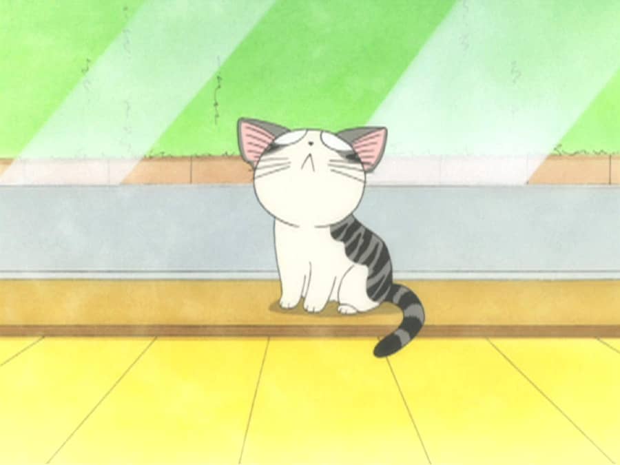 Chi's Sweet Home - Chi's New Address Season 1 Chi, Frets. - Watch on ...
