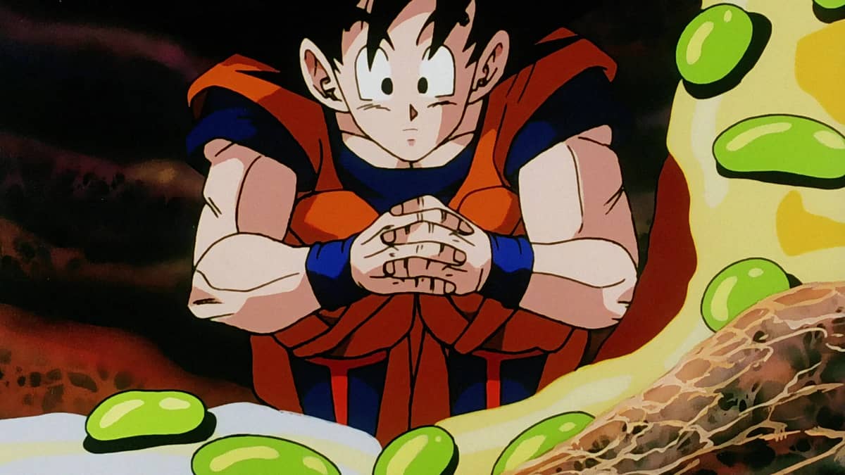Dbz Inside Buu