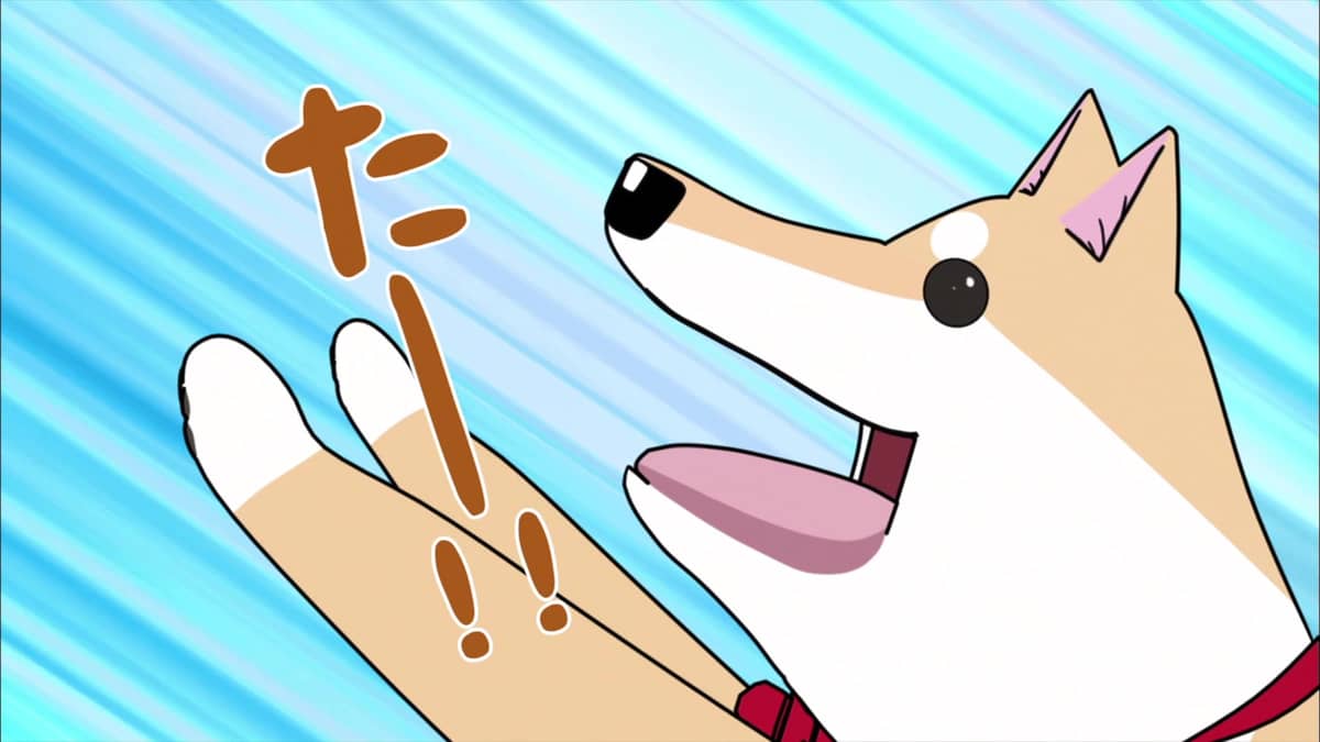 Lovely Muuuuuuuco! Wait! - Watch on Crunchyroll