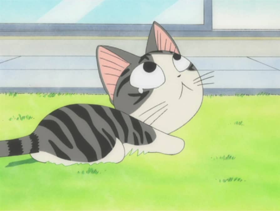 Chi's Sweet Home - Chi's New Address Season 1 Chi, Frolics About ...
