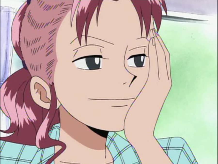 One Piece ¡El pasado oculto! ¡La mujer guerrera, Bellemere! - Ver en ...