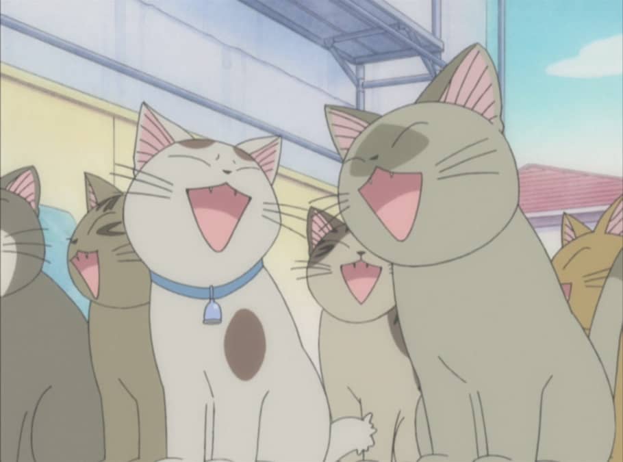 Chi's Sweet Home - Chi's New Address Season 2 Chi, Looks Up at the Sky ...