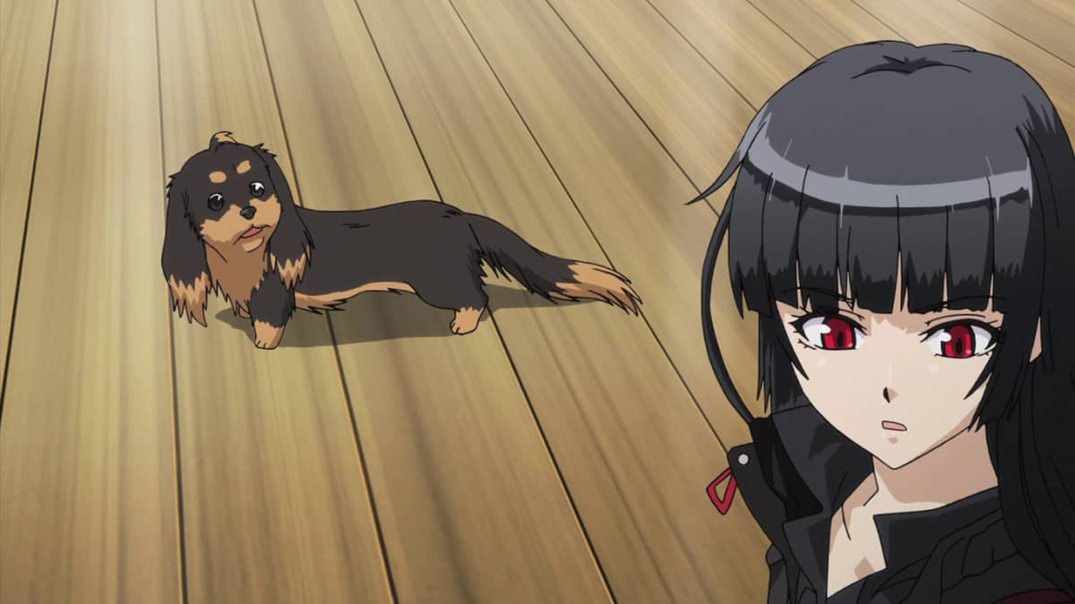 Black Dog Anime Best Anime Dogs
