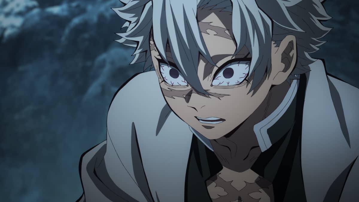 Demon Slayer: Kimetsu no Yaiba Hashira Training Arc To Defeat Muzan ...