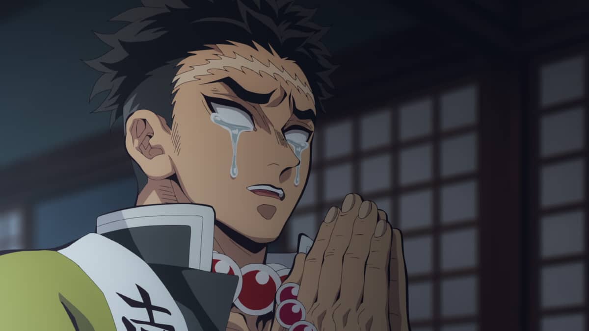 Demon Slayer: Kimetsu no Yaiba Hashira Training Arc The Hashira Unite ...