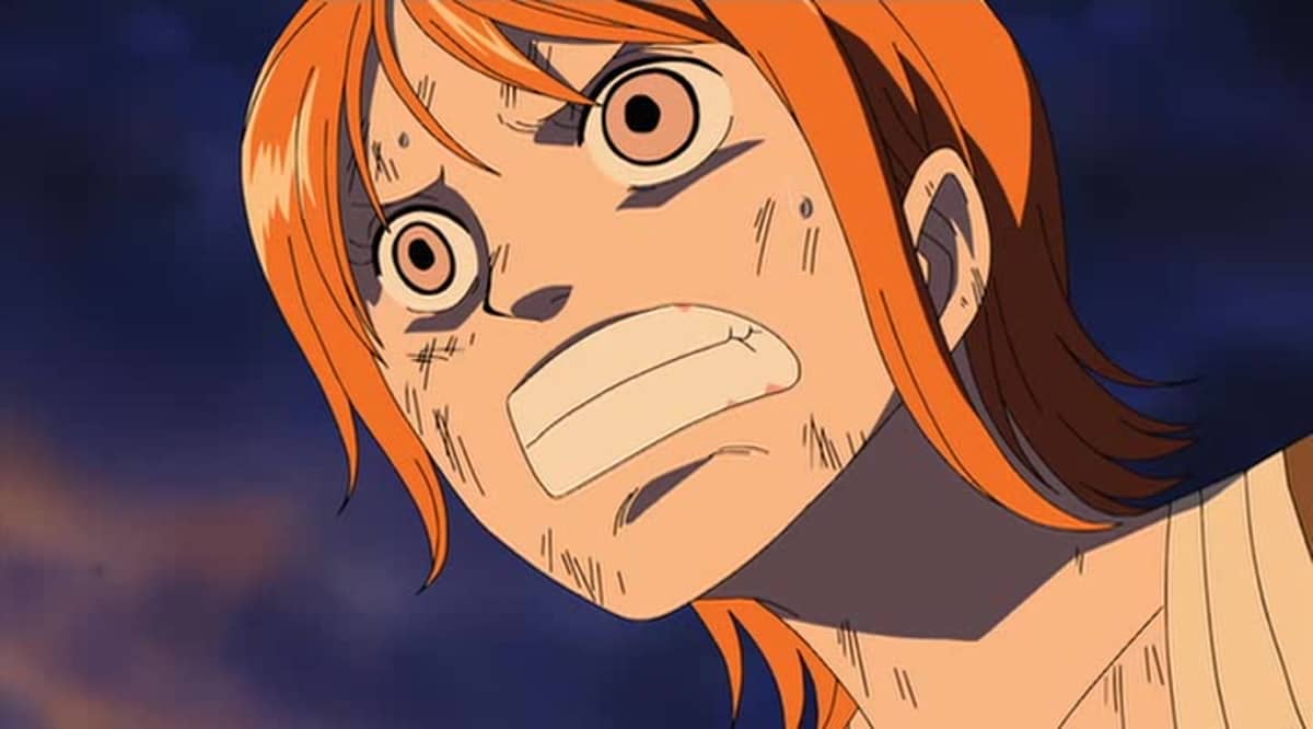 One Piece: Water 7 (207-325) (English Dub) From the Sea, A Friend ...