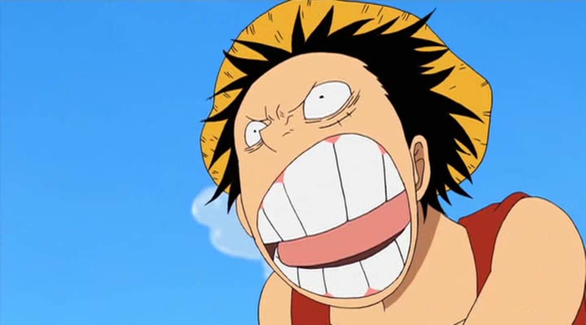 One Piece: Water 7 (207-325) (English Dub) Pirate Abduction Incident! a ...