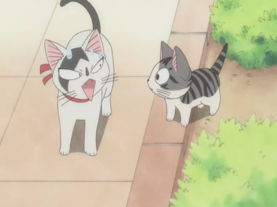 Chi's Sweet Home - Chi's New Address Season 3 Chi, Is Treated. - Watch ...