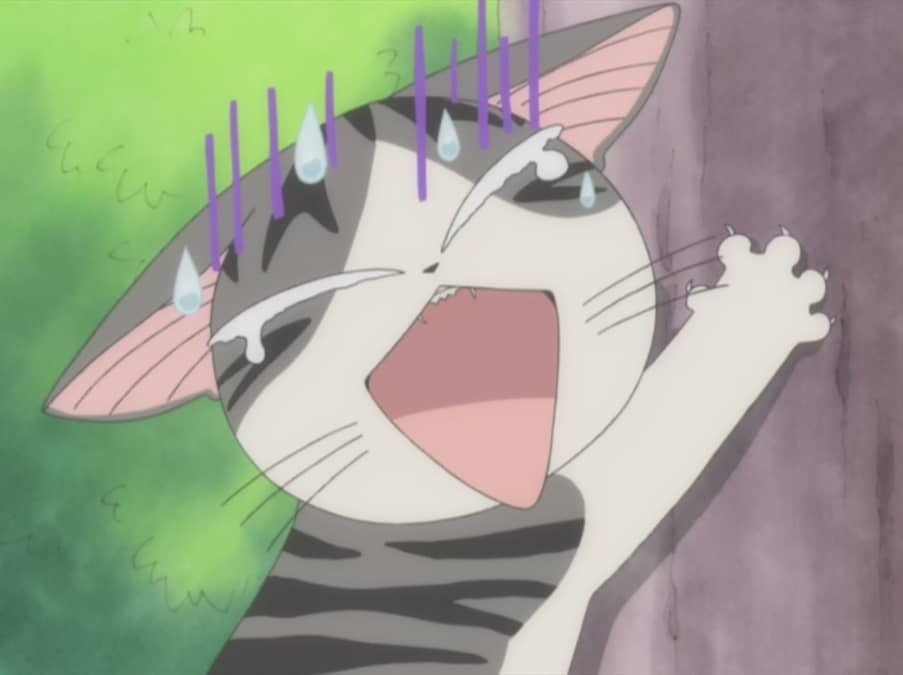 Chi's Sweet Home - Chi's New Address Season 3 Chi, Is Discovered ...