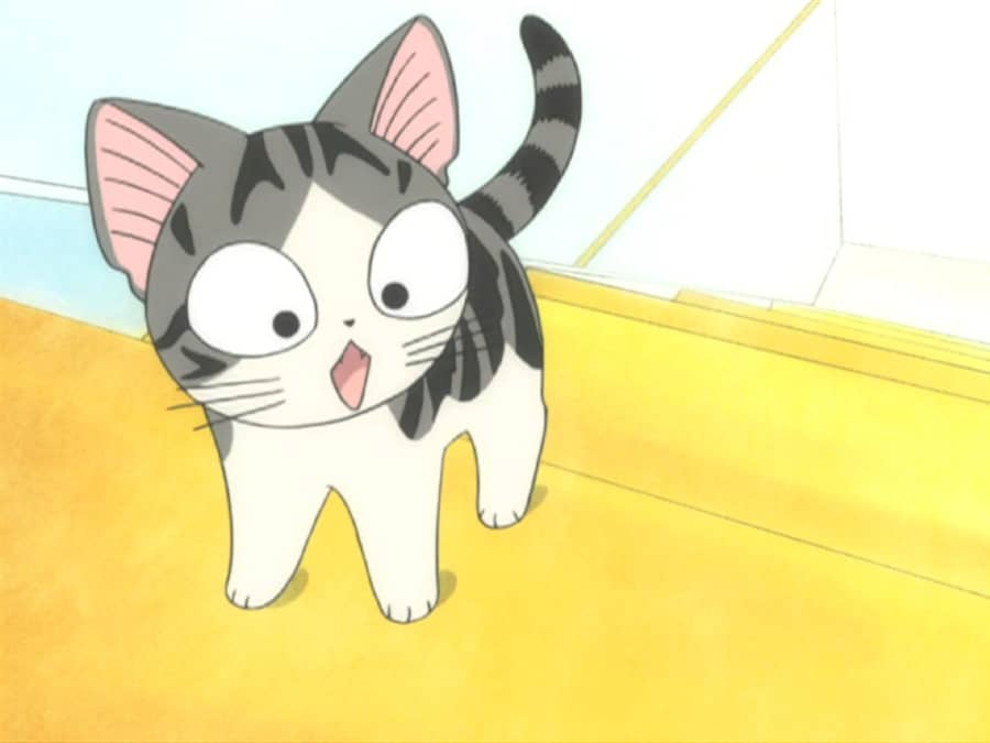 Chi's Sweet Home - Chi's New Address Season 1 Chi, Goes Climbing ...