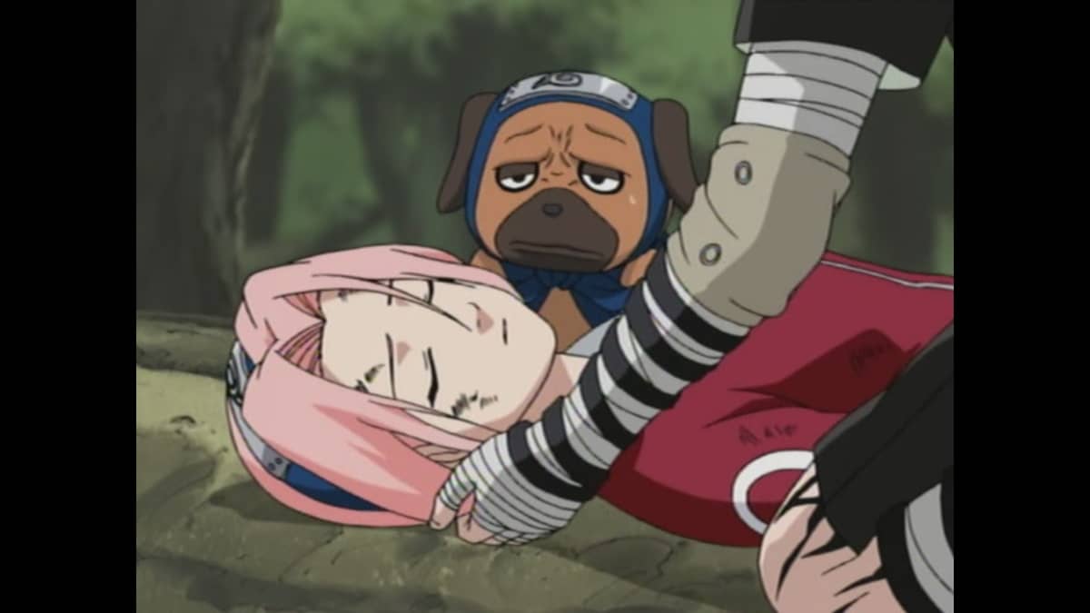 Season 2 The Third Hokage, Forever... - Watch on Crunchyroll
