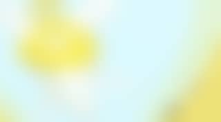 Watch The Nameko Families - Crunchyroll