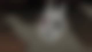 BORUTO: NARUTO NEXT GENERATIONS Ohnoki's Justice - Watch on Crunchyroll