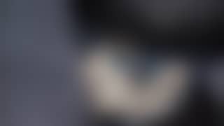 Black Butler: Book of Circus (English Dub) His Butler, Presenting ...