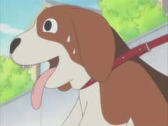 Chi's Sweet Home - Chi's New Address Season 3 Chi, Falls Over. - Watch ...