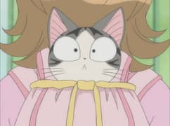 Chi's Sweet Home - Chi's New Address Season 2 Chi, is Treated. - Watch ...