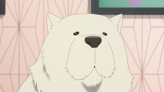 SPY x FAMILY Pflicht und Familie / Der große Bondman / Kinderherz ...