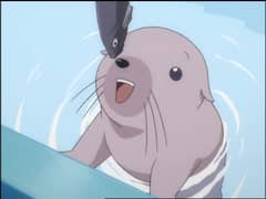 Kaleido Star (English Dub) The Amazing Girl Who Doesn't Smile - Watch ...