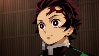 Demon Slayer: Kimetsu no Yaiba TV Specials The Hashira Meeting Arc ...