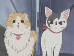 Chi's Sweet Home - Chi's New Address Season 3 Chi, Is Discovered ...