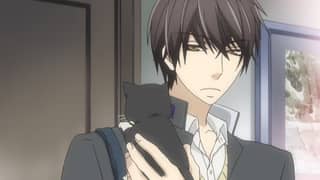 Sekai Ichi Hatsukoi - World's Greatest First Love (Movies) The Case of ...
