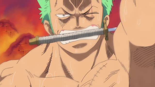 One Piece: Punk Hazard (575-629) (English Dub) A Battle in the Heat ...