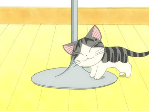 Chi's Sweet Home - Chi's New Address Season 1 Chi, Goes Exploring ...