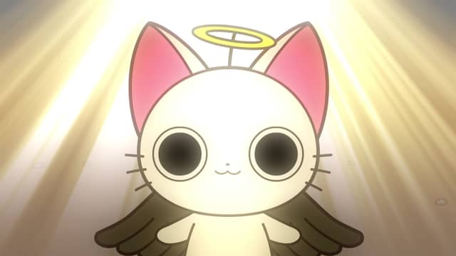 Nyanpire - The Vampire Cat Aparece Nyatenshi - Ver en Crunchyroll en ...