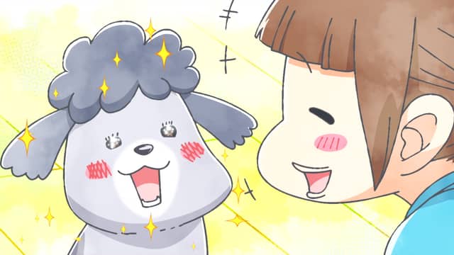 With a Dog AND a Cat, Every Day is Fun Brushing - Watch on Crunchyroll