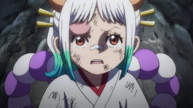 One Piece: WANO KUNI (892-1088) For the Future! Yamato and the Great ...