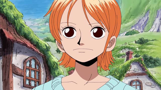 One Piece: Water 7 (207-325) A Mysterious Boy With a Horn and Robin's ...