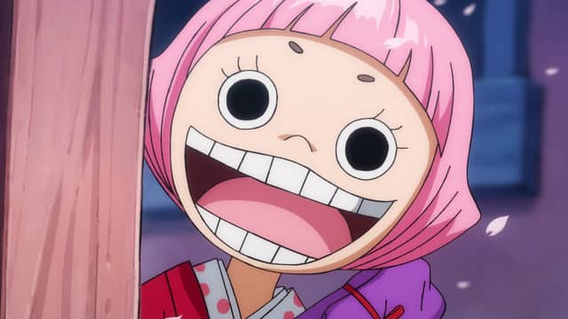 One Piece: WANO KUNI (892-1088) Luxurious and Gorgeous! Wano's Most ...