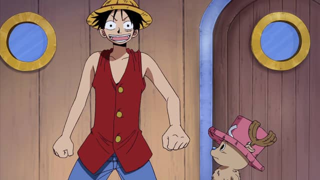 One Piece: Water 7 (207-325) Now, Let's Get Back Our Memories! the ...