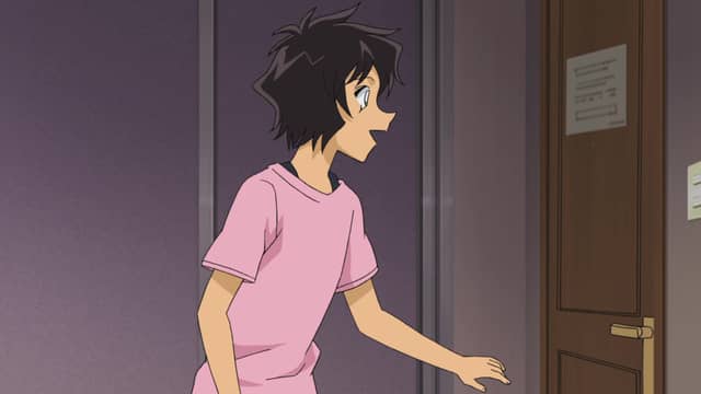 Case Closed Detective Conan The Mystery Sinking In The Midsummer Pool