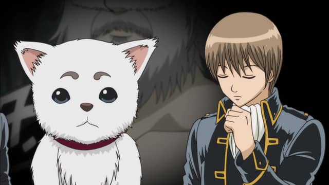 Gintama Season 2 (253-265) Dog Food Doesn't Have As Much Flavor As You ...