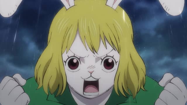 One Piece: WANO KUNI (892-1088) The Worst Generation Charges in! The ...