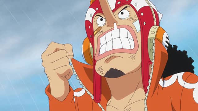 One Piece - Dressrosa (630-699) Arriscando a Vida! Luffy é a Carta na ...