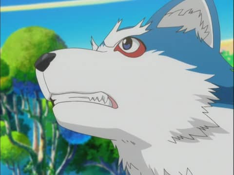 Fairy Musketeers Their Bond - Watch on Crunchyroll